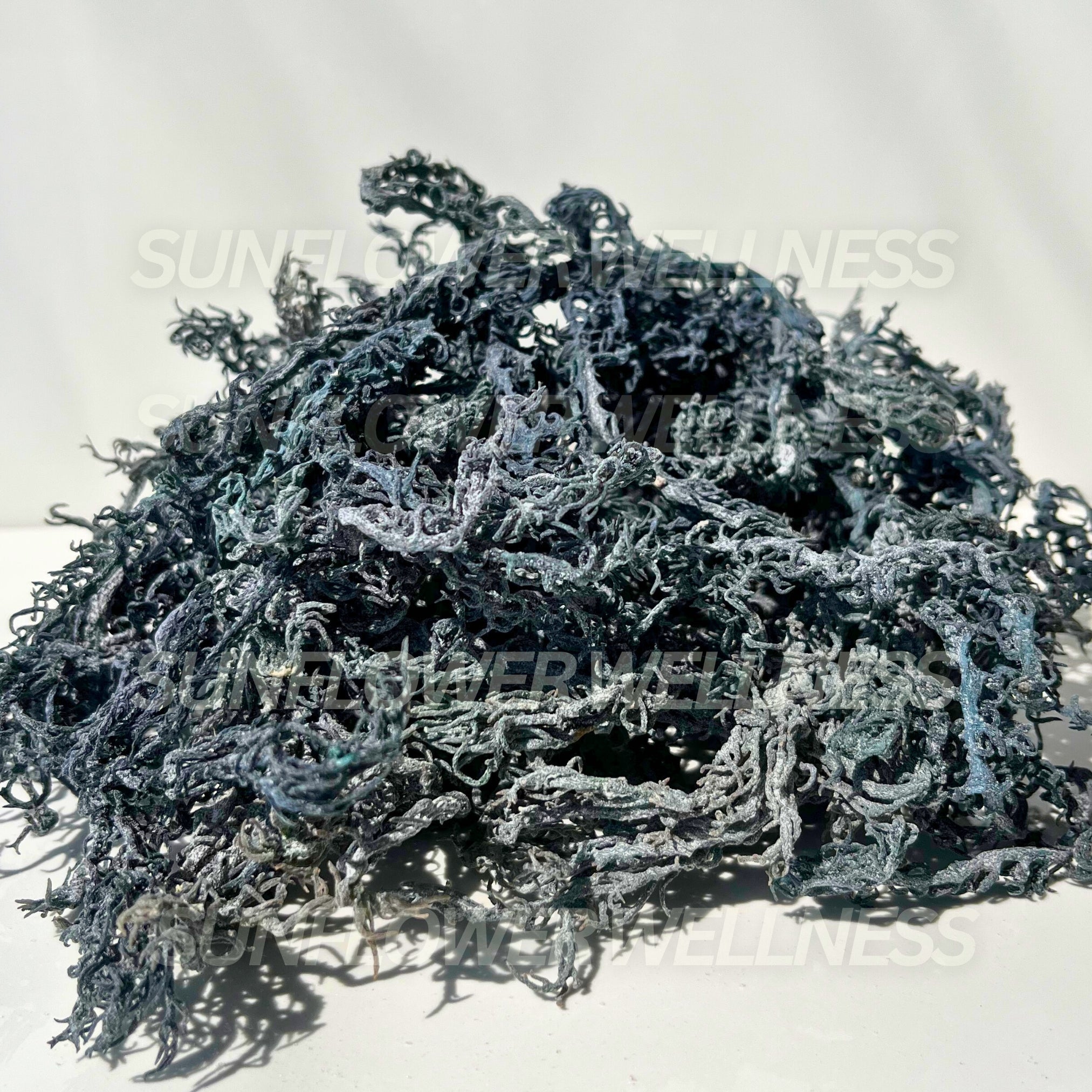 Wildcrafted St Lucia Green Sea Moss Sunflower Wellness Inc