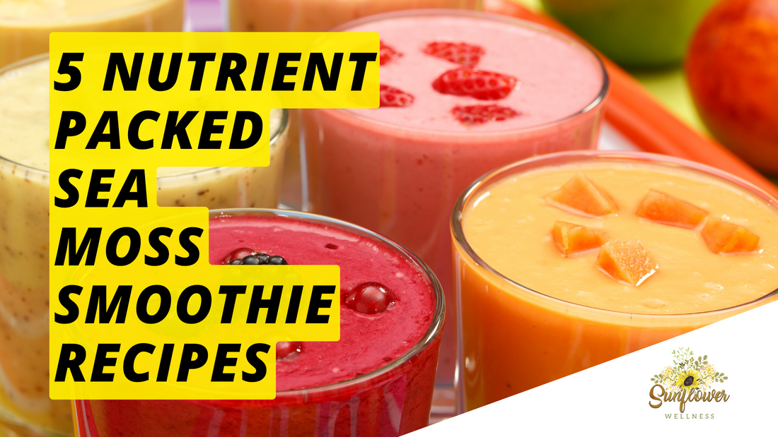 5 Nutrient-Packed Sea Moss Smoothie Recipes – Sunflower Wellness