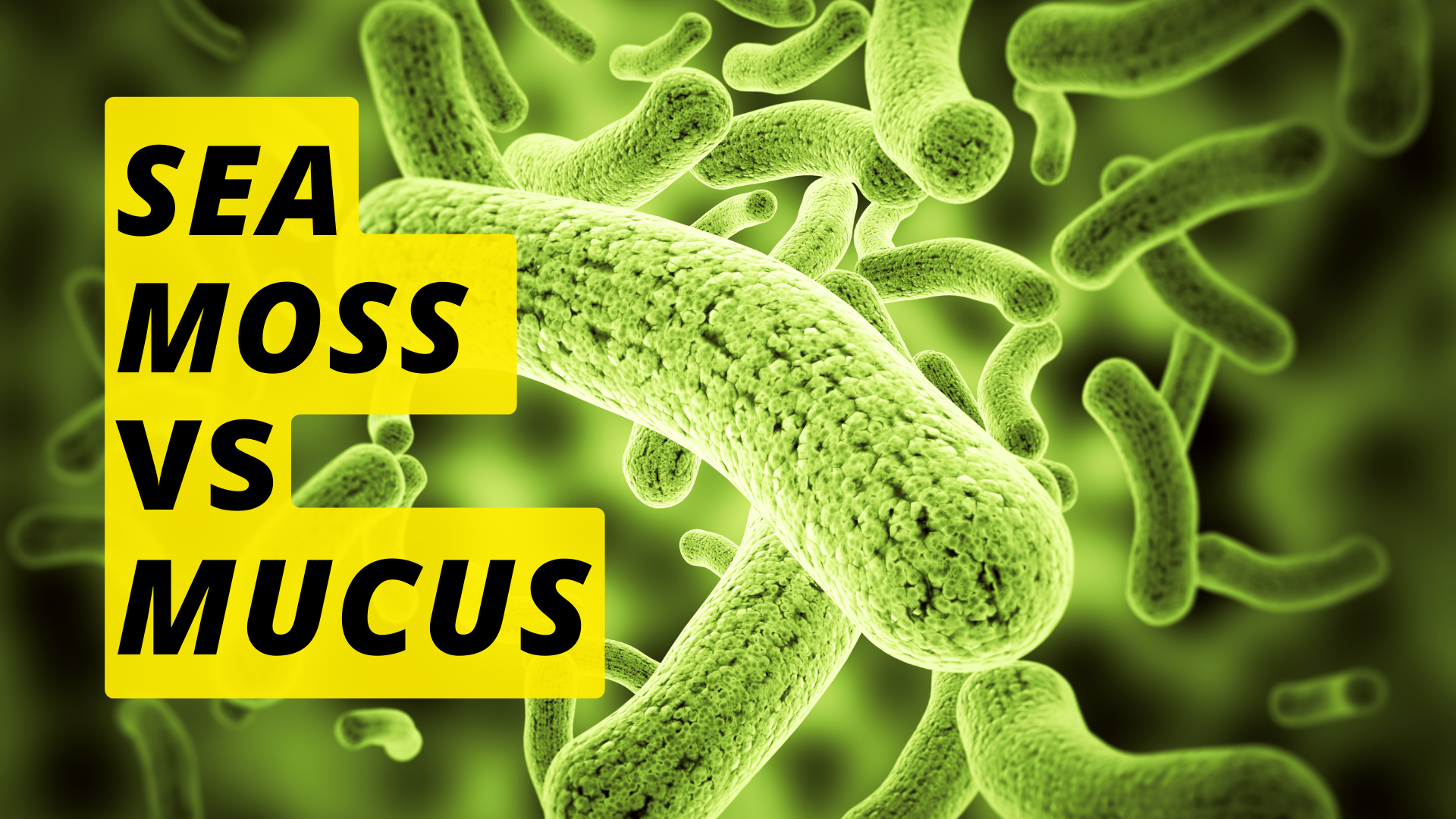 Could Sea Moss Help Reduce Mucus? Learn The Benefits – Sunflower ...