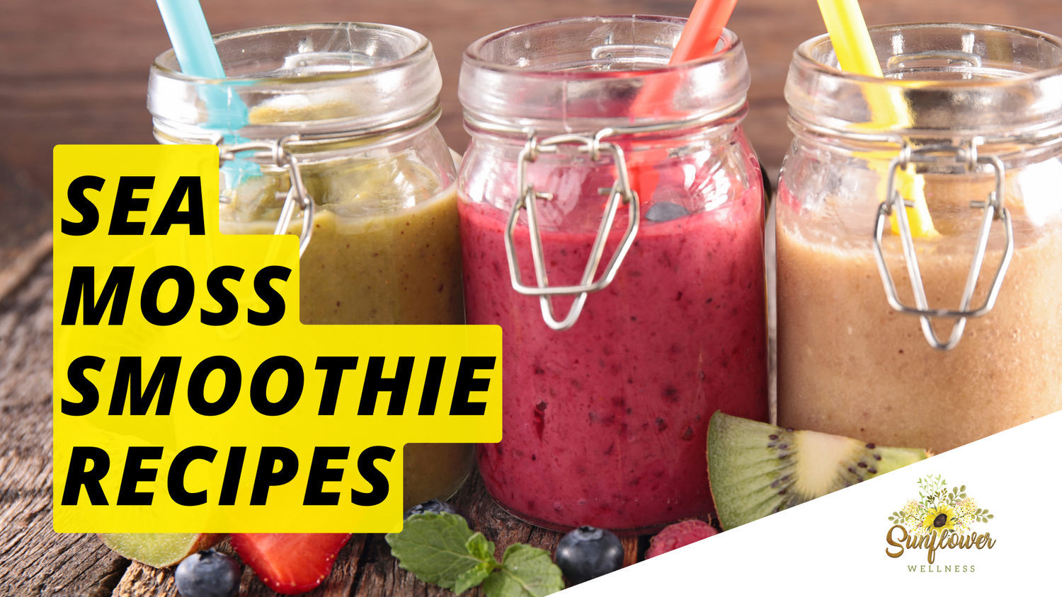 Delicious Sea Moss Smoothie Recipes – Sunflower Wellness